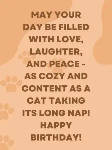 32 Birthday Wishes for Cat Lovers | I-Wish-You