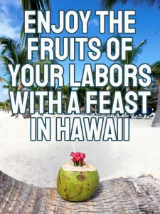 84 Best Hawaii Puns | I-Wish-You